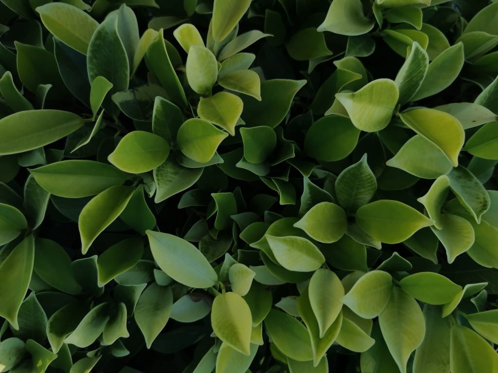 Know about ISO and Shutter speed in camera - HU