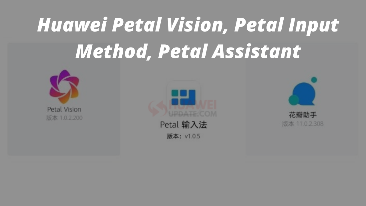 Huawei Petal Vision, Petal Input Method, Petal Assistant Apps may ...